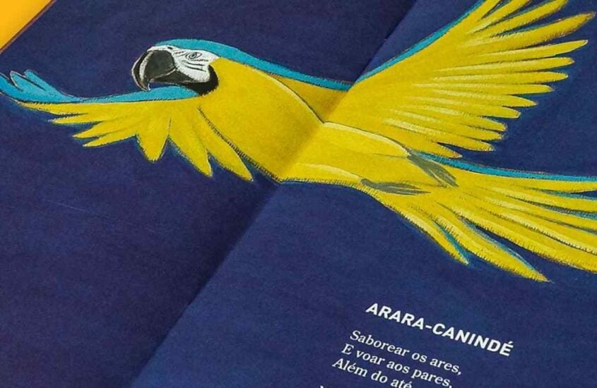 Arquivos Livros Infantis Revista Clube Quindim